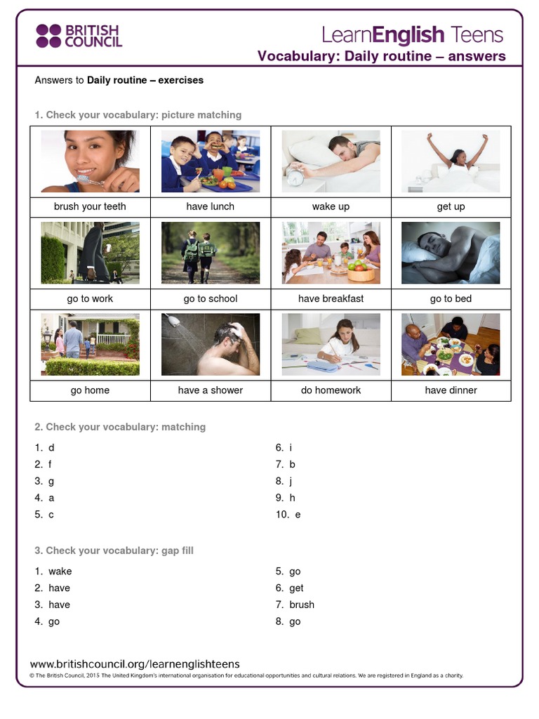 Vocabulary: Daily Routine - Answers: - Exercises | PDF