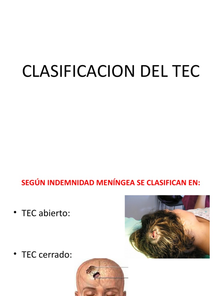 Clasificacion Del Tec | PDF | Cerebro | Especialidades Medicas