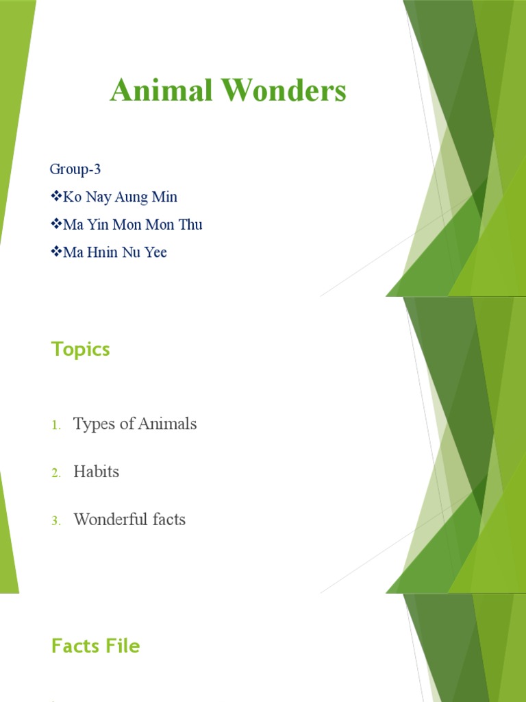Presentation (Animal Wonders) | PDF | Fox | Pet