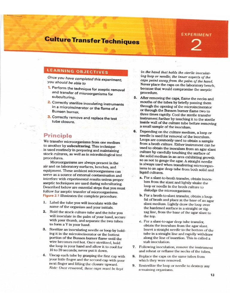 Culture Transfer Techniques | PDF