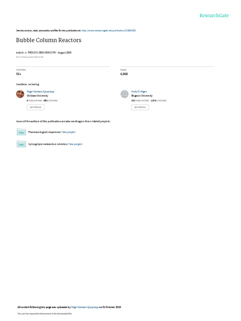 Bubble Column Reactors | PDF | Fluid Dynamics | Chemical Reactor