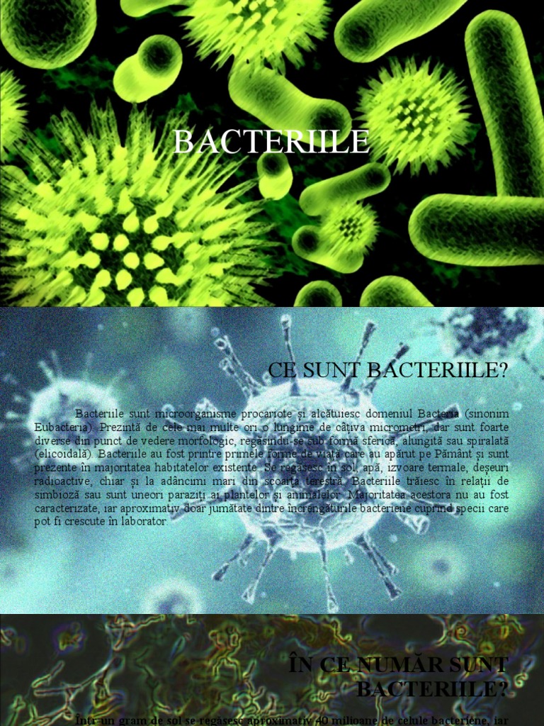 Bacterii | PDF