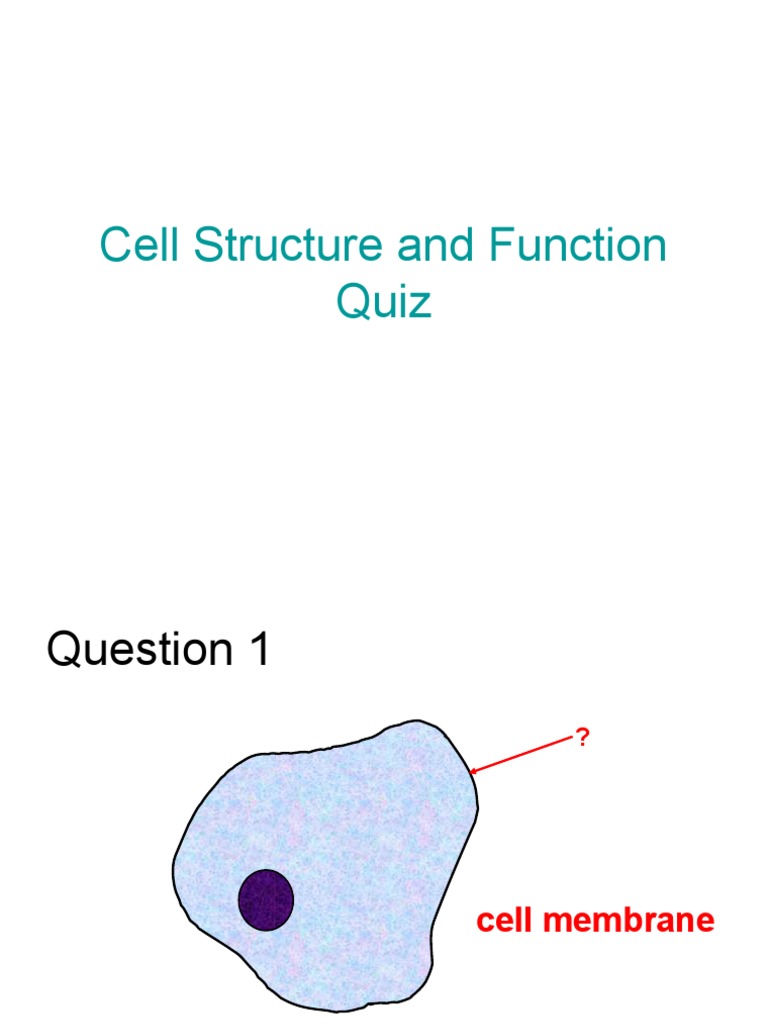 Cell Structure and Function Quiz | PDF | Wellness
