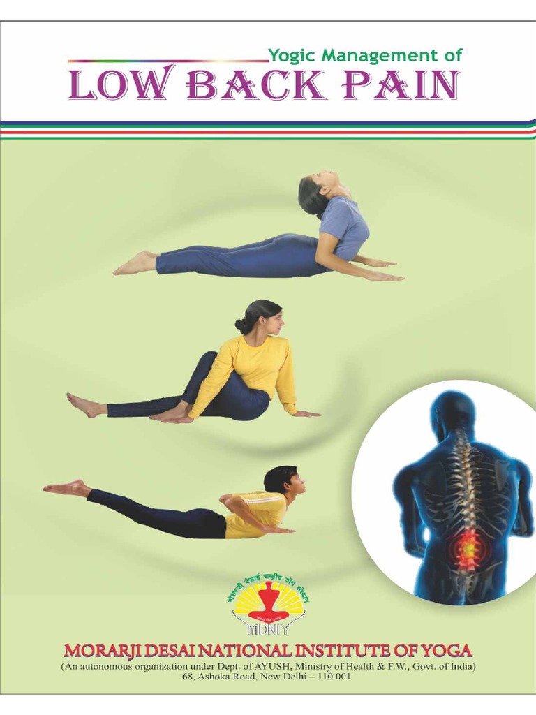 Low Back Pain PDF | PDF