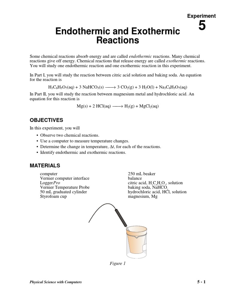 Endothermic and Exothermic Reactions: Experiment | PDF | Hydrochloric ...