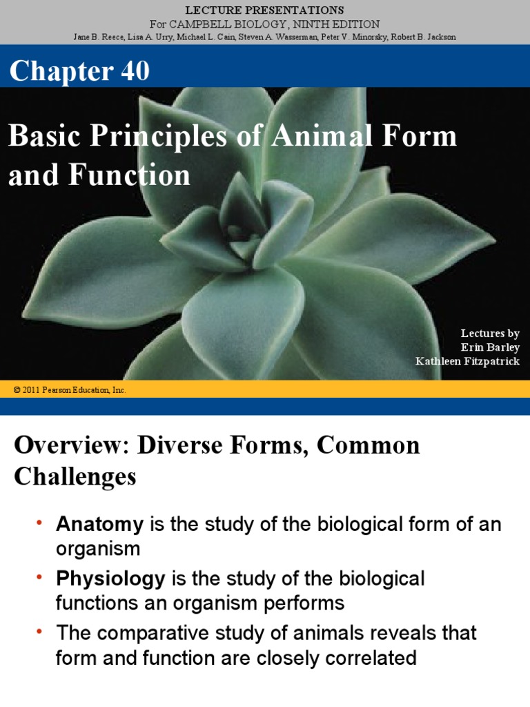 Basic Principles of Animal Form and Function: For Campbell Biology ...