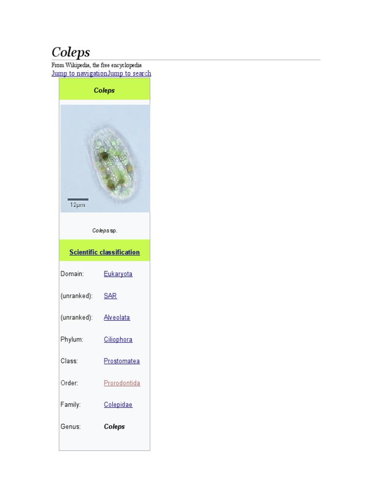 Coleps: Jump To Navigation Jump To Search | PDF | Organisms | Eukaryotes