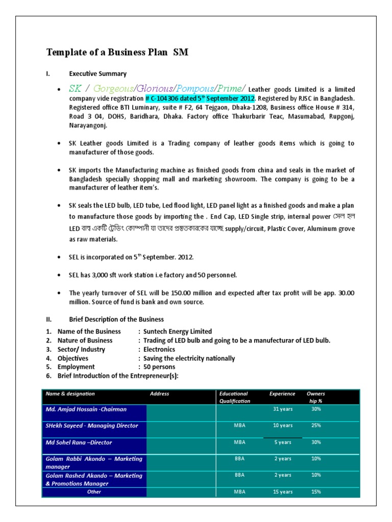 Final Business Plan Template 1 | PDF | Expense | Economies