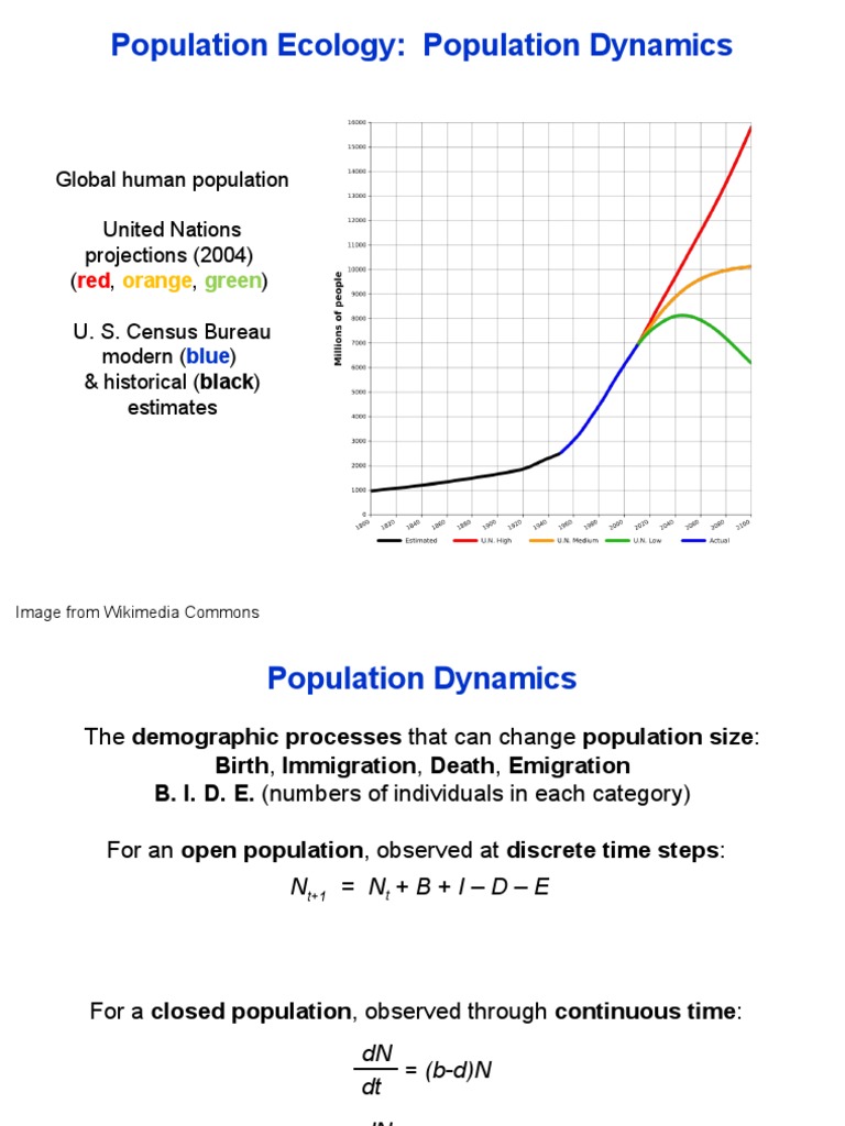Population Ecology: Population Dynamics | PDF | Ecology | Applied ...