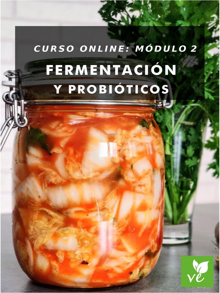 Modulo 2 Fermented PDF | PDF | Decapado | Vegetales