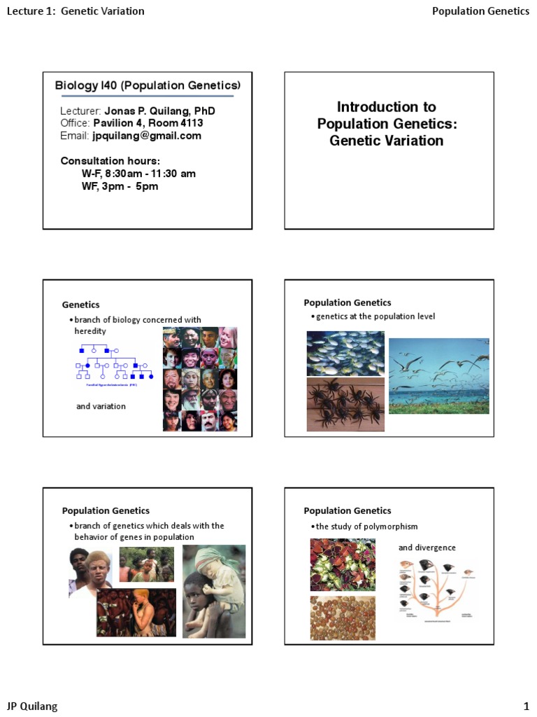 Introduction To Population Genetics: Genetic Variation | Download Free ...