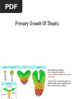 Cbse Class Ix Animal Tissue Flow Chart | PDF | Epithelium | Tissue ...