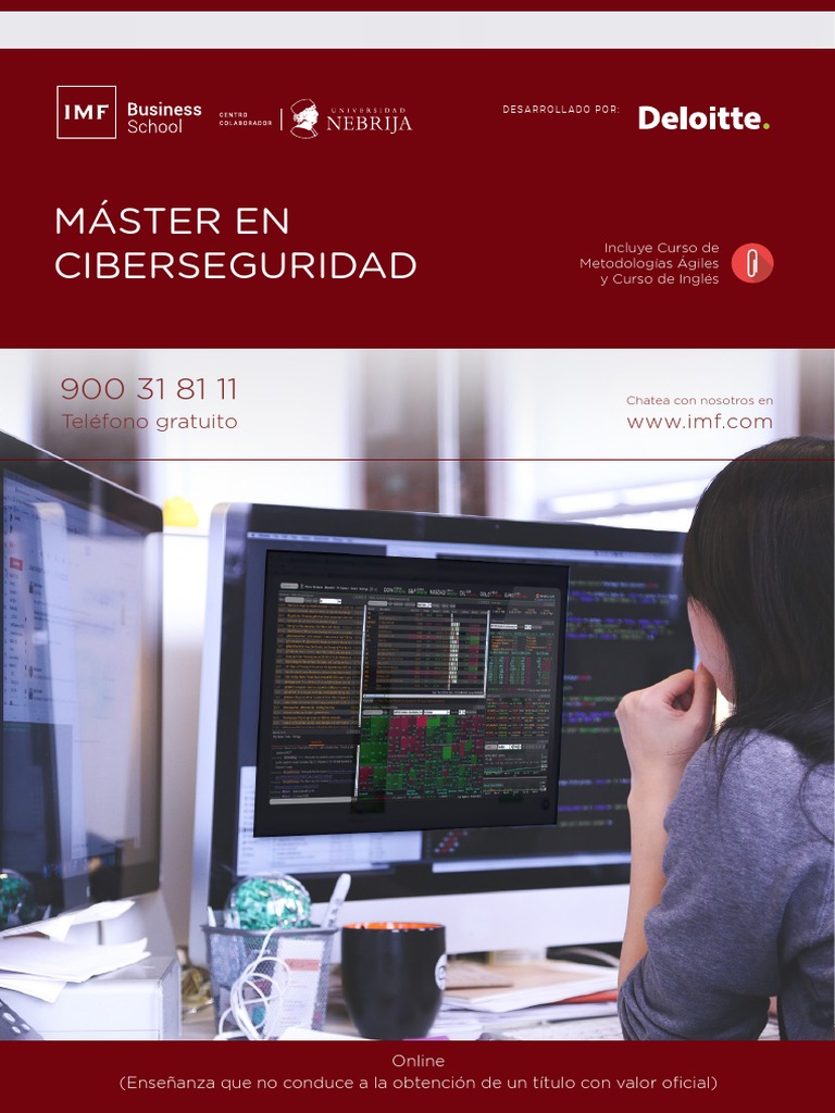Master Seguridad Informatica | PDF | La seguridad informática | Seguridad