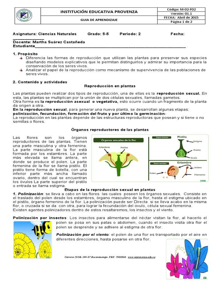 Ciencias Reproduccion en Plantas Guia 21 | PDF | Polen | Flores