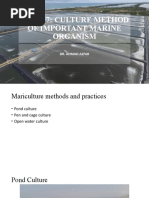 Designing Effective Pond Outlet Structures | PDF | Concrete | Pipe ...