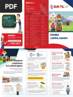 Instructivo Calculo TSS 2022 | PDF | Salario | Salario mínimo