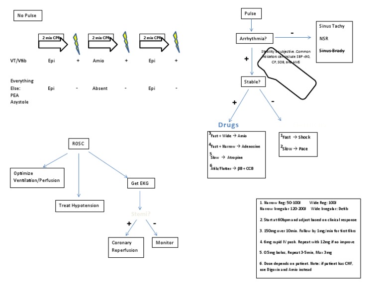 Simplified ACLS Algorithm | PDF | Cardiology | Internal Medicine