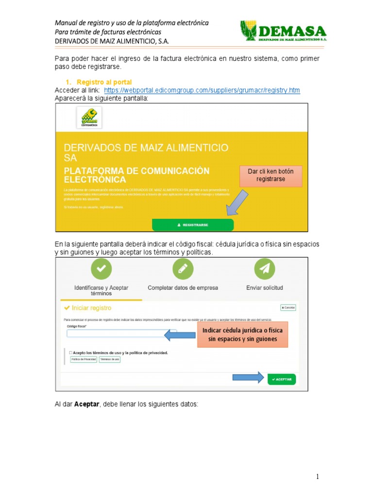 Guía de Facturación Electrónica DEMASA | PDF | Software | Informática