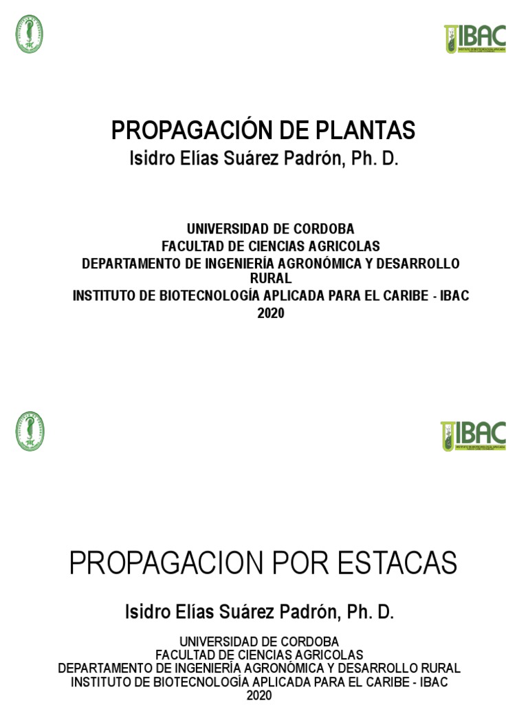 Tema 14. PROPAGACION POR ESTACAS | PDF | Auxina | Tallo de la planta