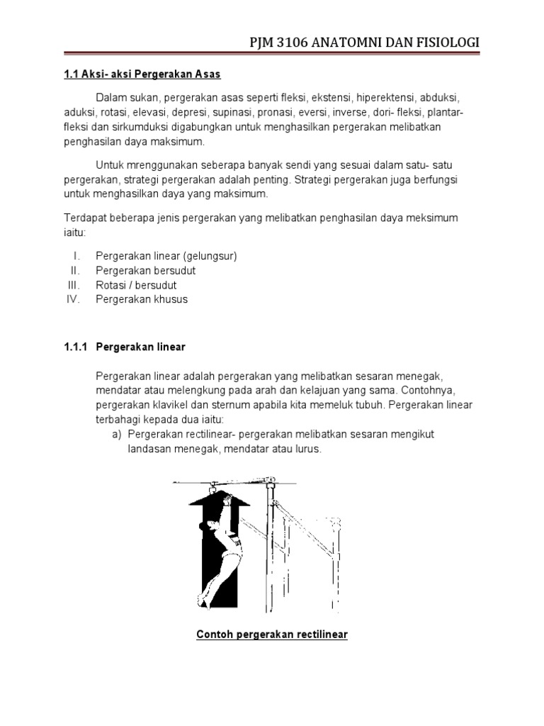 Aksi Pergerakan | PDF