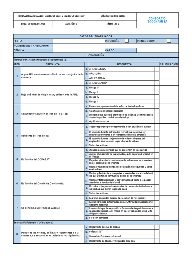 Formato de Evaluación Inducción y Re-Inducción SST | PDF | Bienestar | Medicina