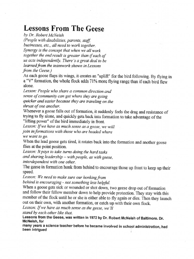 Lessons From Geese | PDF