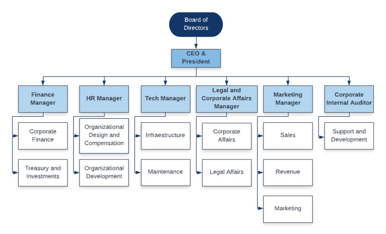 Corporate Structure and Management Roles | PDF
