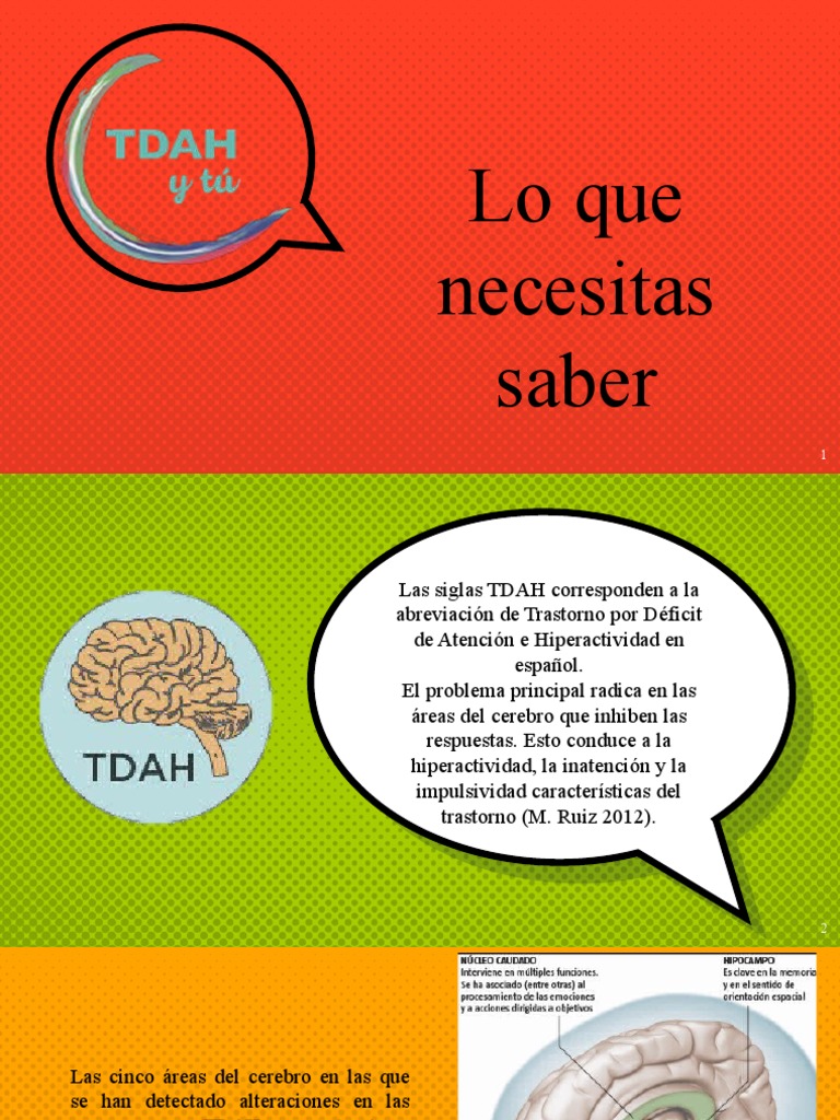 Guía Completa sobre el TDAH | PDF | Desorden hiperactivo y deficit de ...