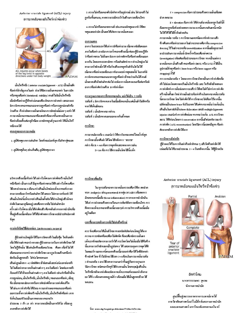 Acl Injury Jan 60 | PDF