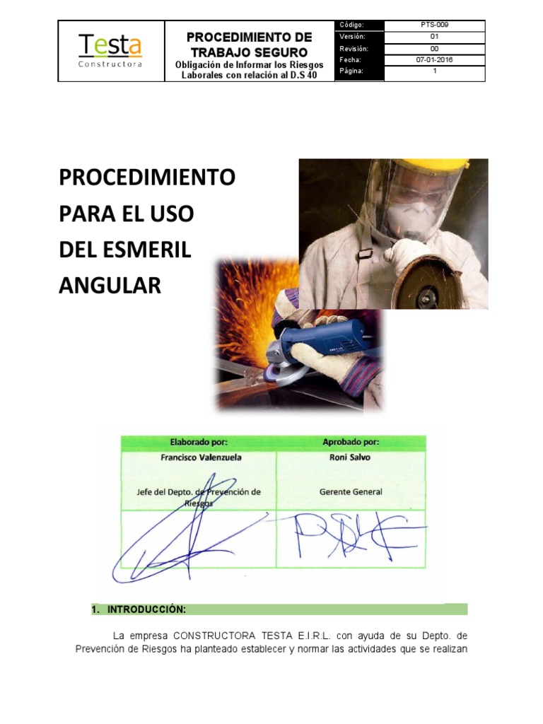 PTS 009 - para El Uso de Esmeril Angular | PDF | Naturaleza | Bienestar