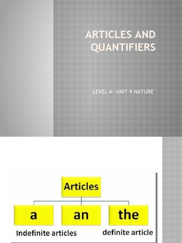 Grammar Tips: Articles & Quantifiers | PDF | Noun | Plural
