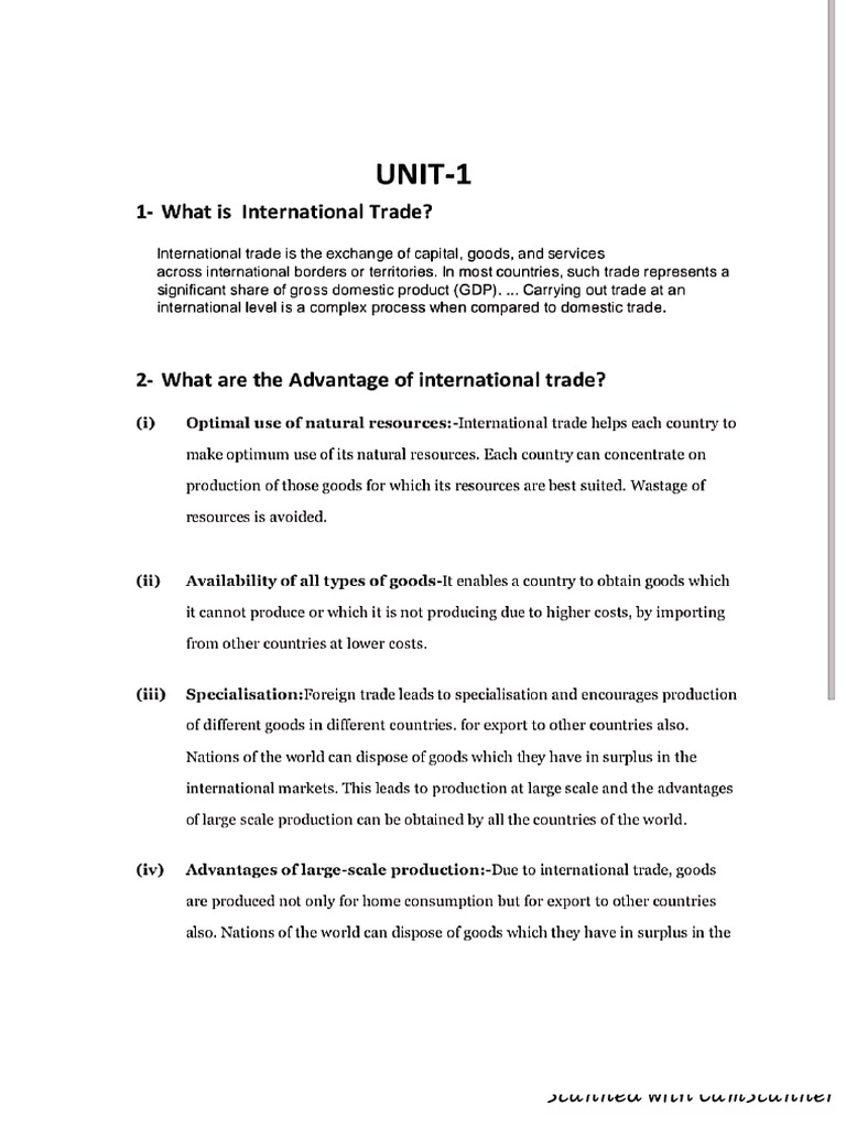 International Trade Assignment | PDF