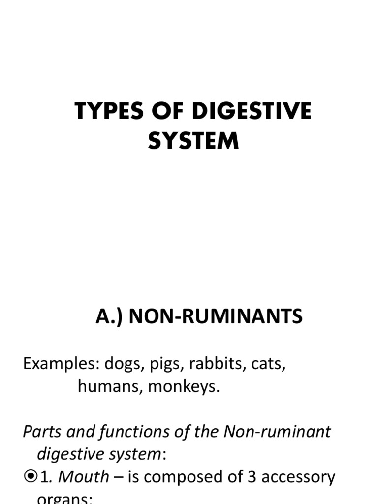 A Comprehensive Comparison of the Digestive Systems of Non-Ruminants ...