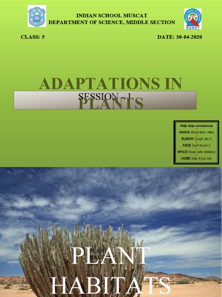 Adaptation in Plants PPT-1 | PDF | Habitat | Plants
