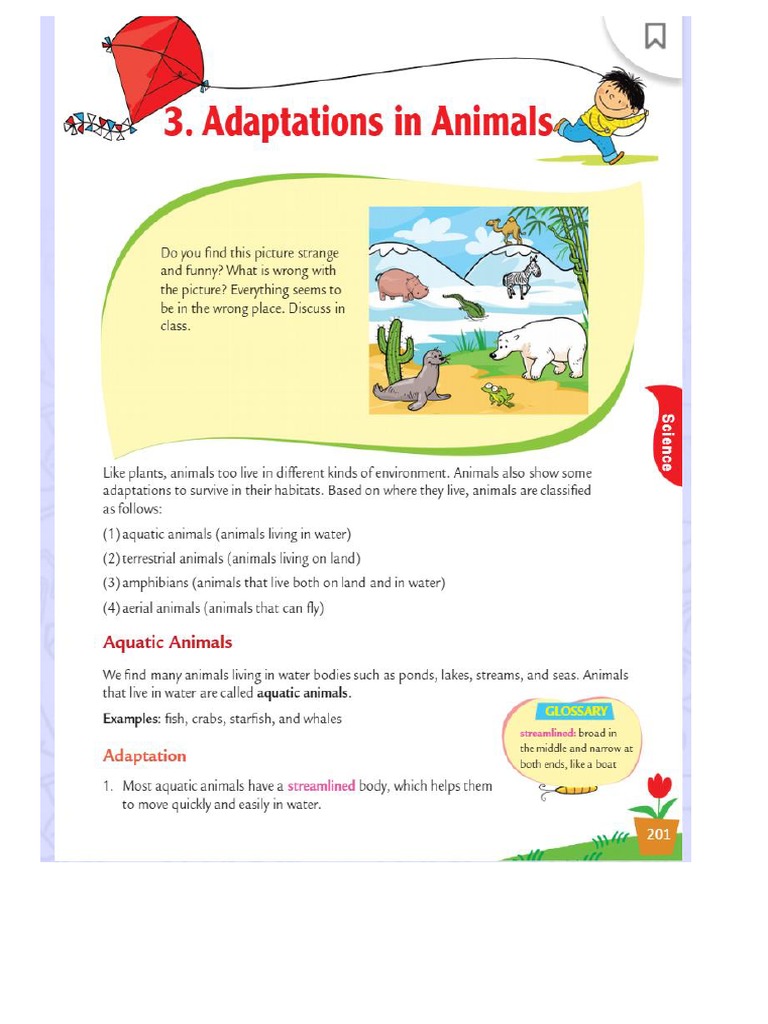 Chapter 3-Adaptation in Animals | PDF