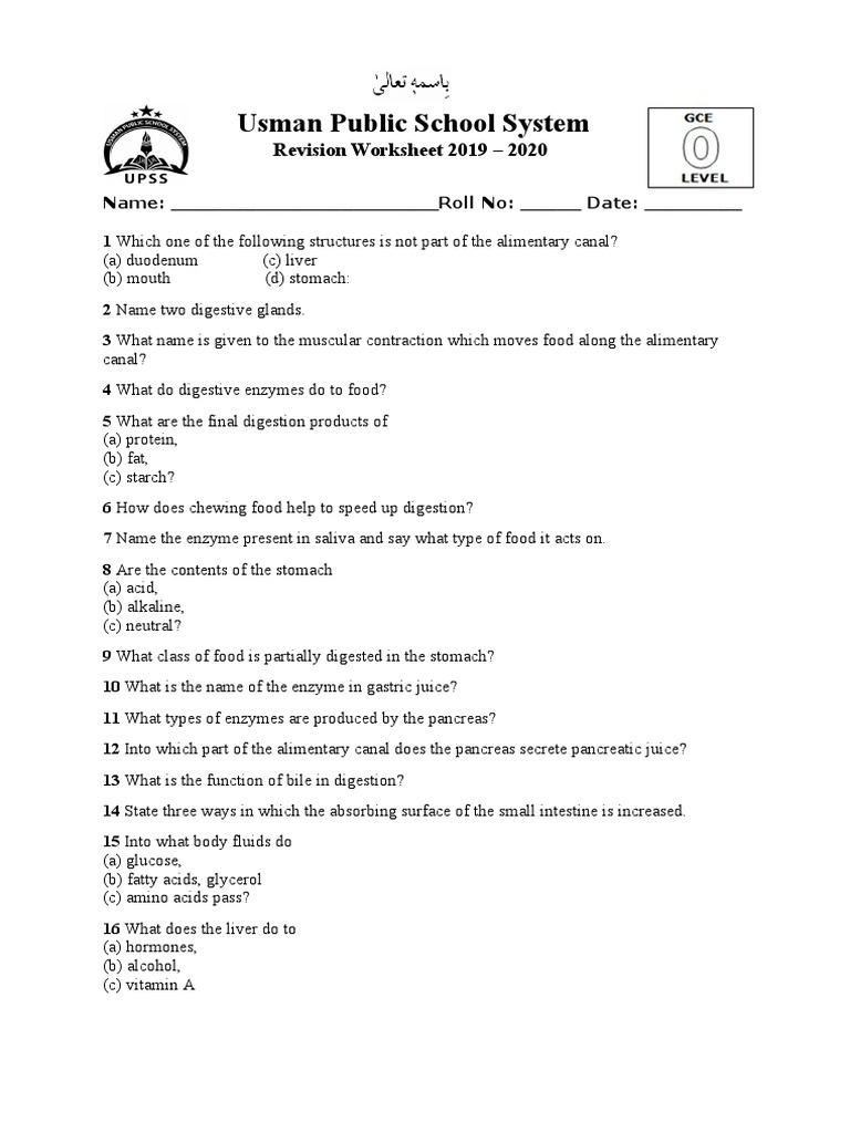 Mammalian Digestive System Worksheet | PDF