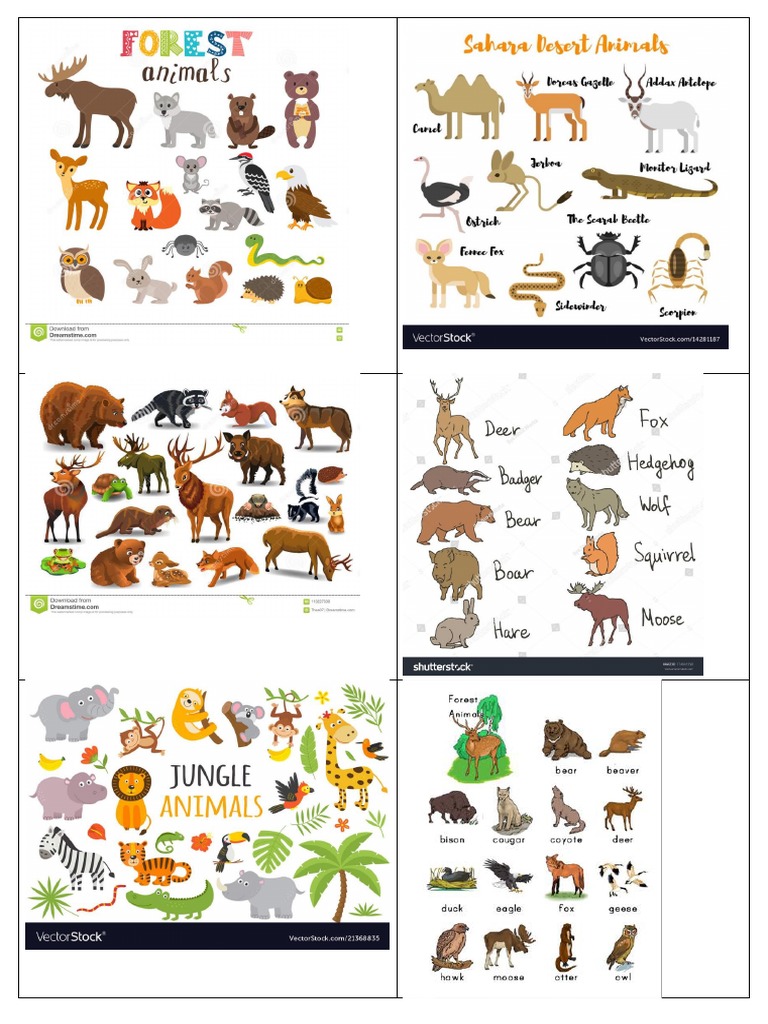 Big English 3 - Unit 4 Animals | PDF