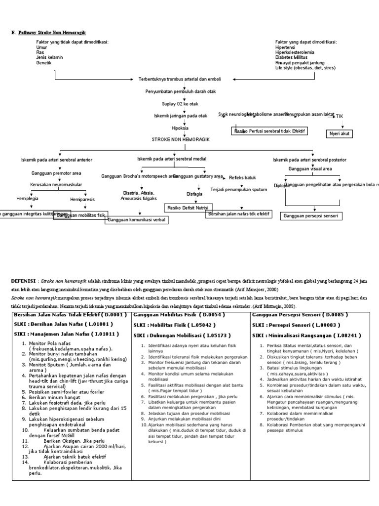 Pathway-Stroke-Non-Hemoragik Masliana (Lia) | PDF