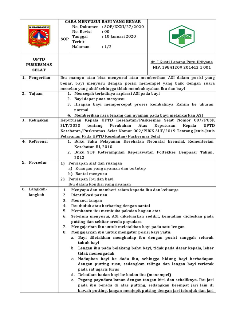 Sop Cara Menyusui Yang Benar | PDF