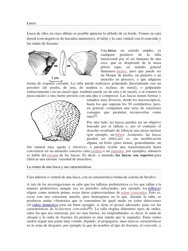 Definición y características de la lasca | PDF | Herramientas | Edad de ...