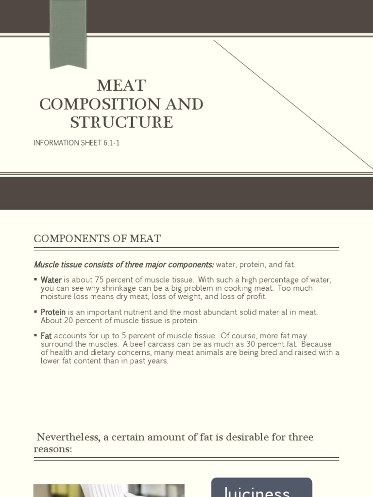Info Sheet 6.1-1 MEAT COMPOSITION AND STRUCTURE | PDF | Meat | Muscle