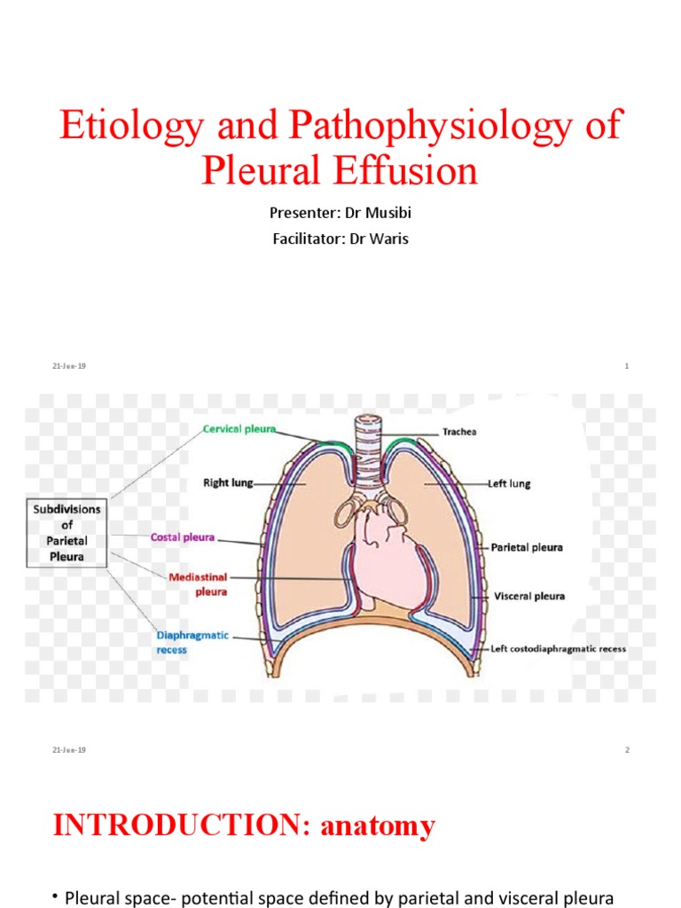 Etiology and Pathophysiology of Pleural Effusion | PDF | Thorax (Human ...