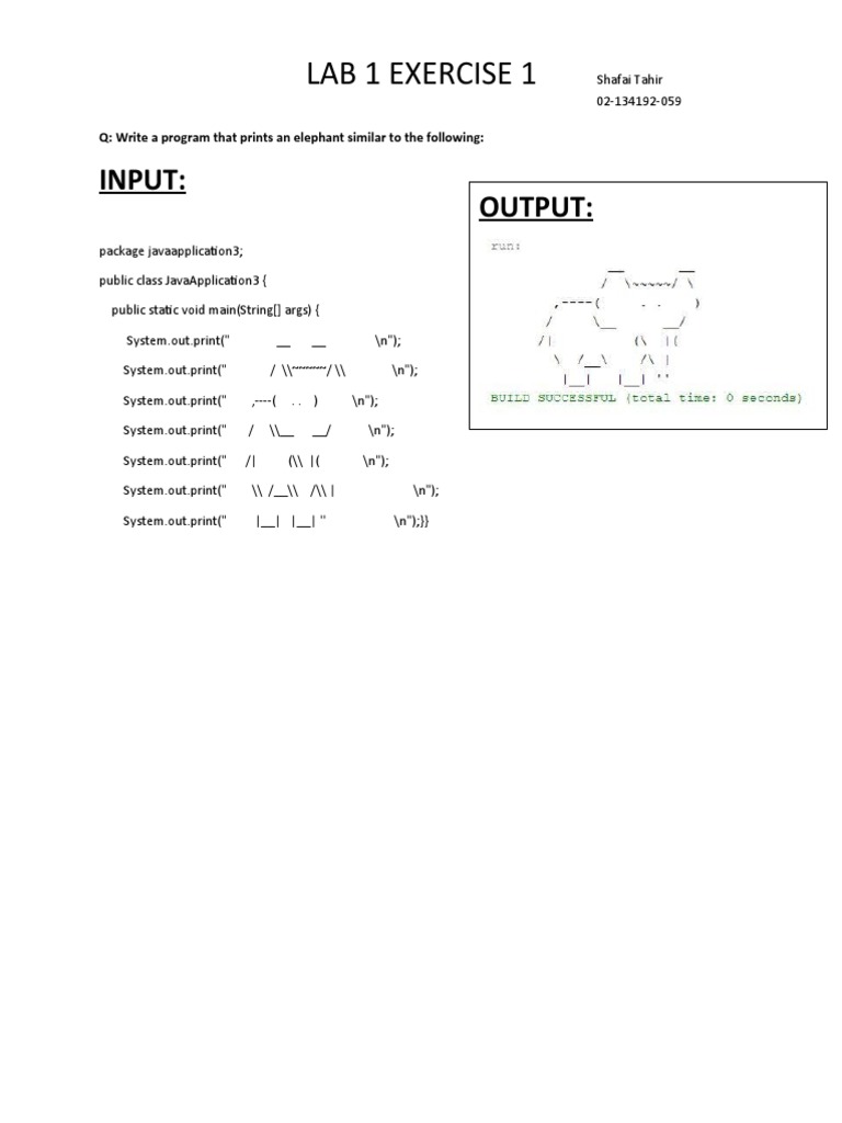 Lab 1 Exercise 1: Input: Output | PDF
