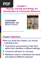 Consumer Behaviour Schiffman 9th Edition | PDF | Attitude (Psychology ...