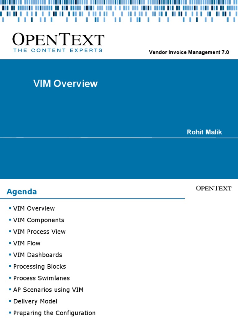 01 VIM 7 0 Overview | PDF | Optical Character Recognition | Sap Se