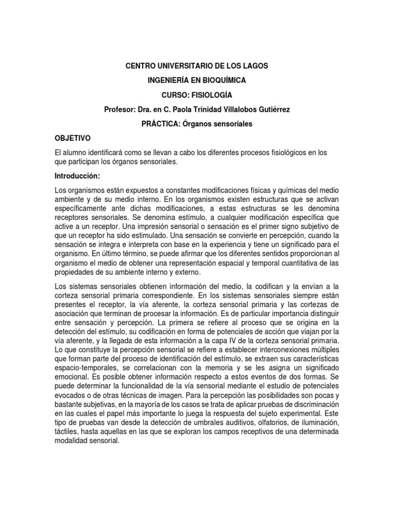Practica de Organos Sensoriales | PDF | Percepción | Sentidos