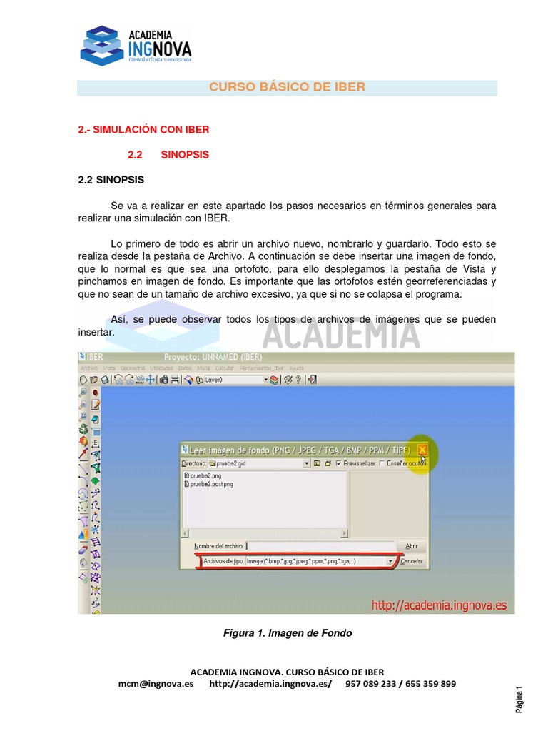 Simulación Con Iber | PDF | Informática | Informática y tecnología de ...