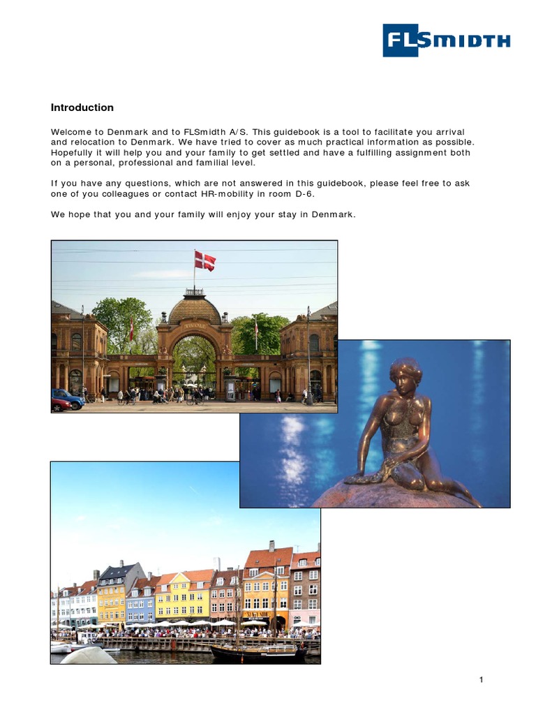 A Guide to Getting Settled in Denmark: A Comprehensive Introduction to ...
