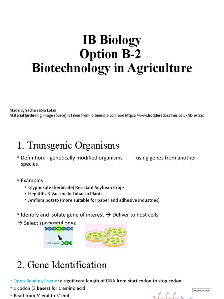 IB Biology Option B-2 Biotechnology in Agriculture | PDF | Genetically ...