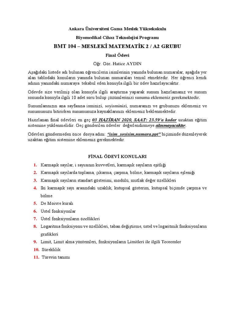 Final Odevi Yonergesi PDF | PDF